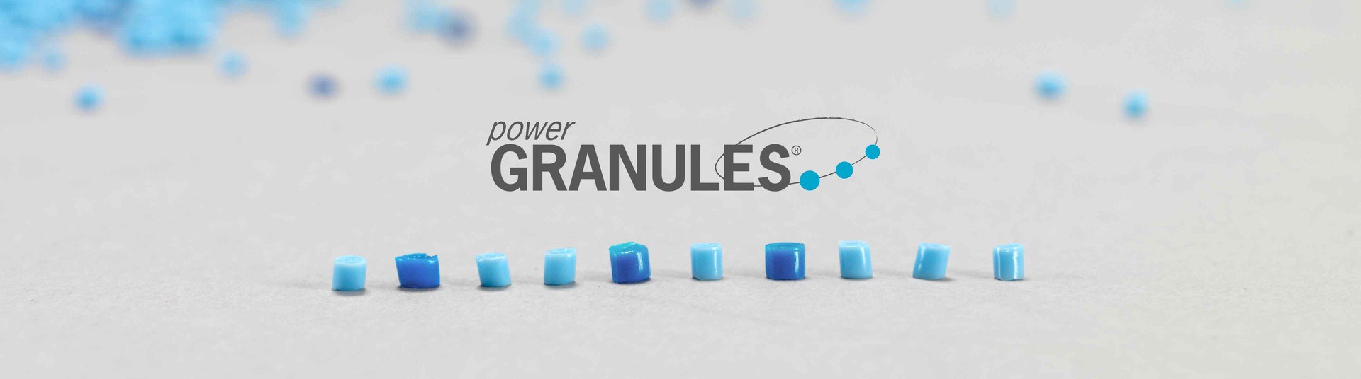 Granuldisk